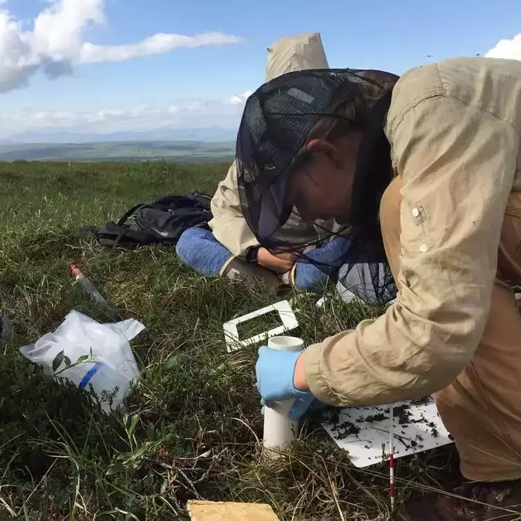 Temporary field/lab technicians