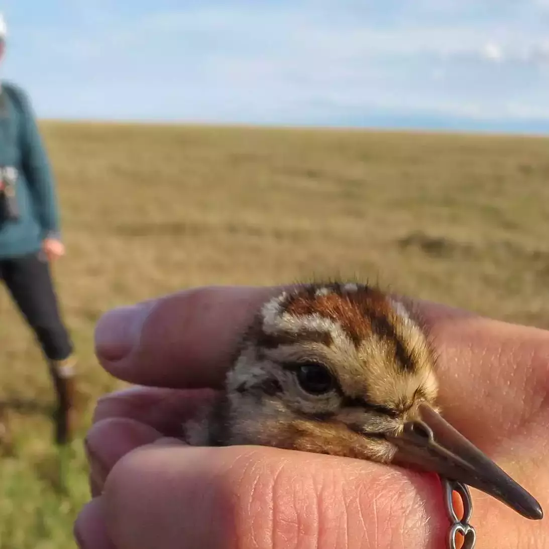 Research Across Alaska