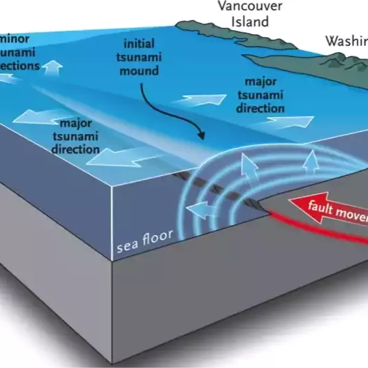 Tsunami Basics Presentation
