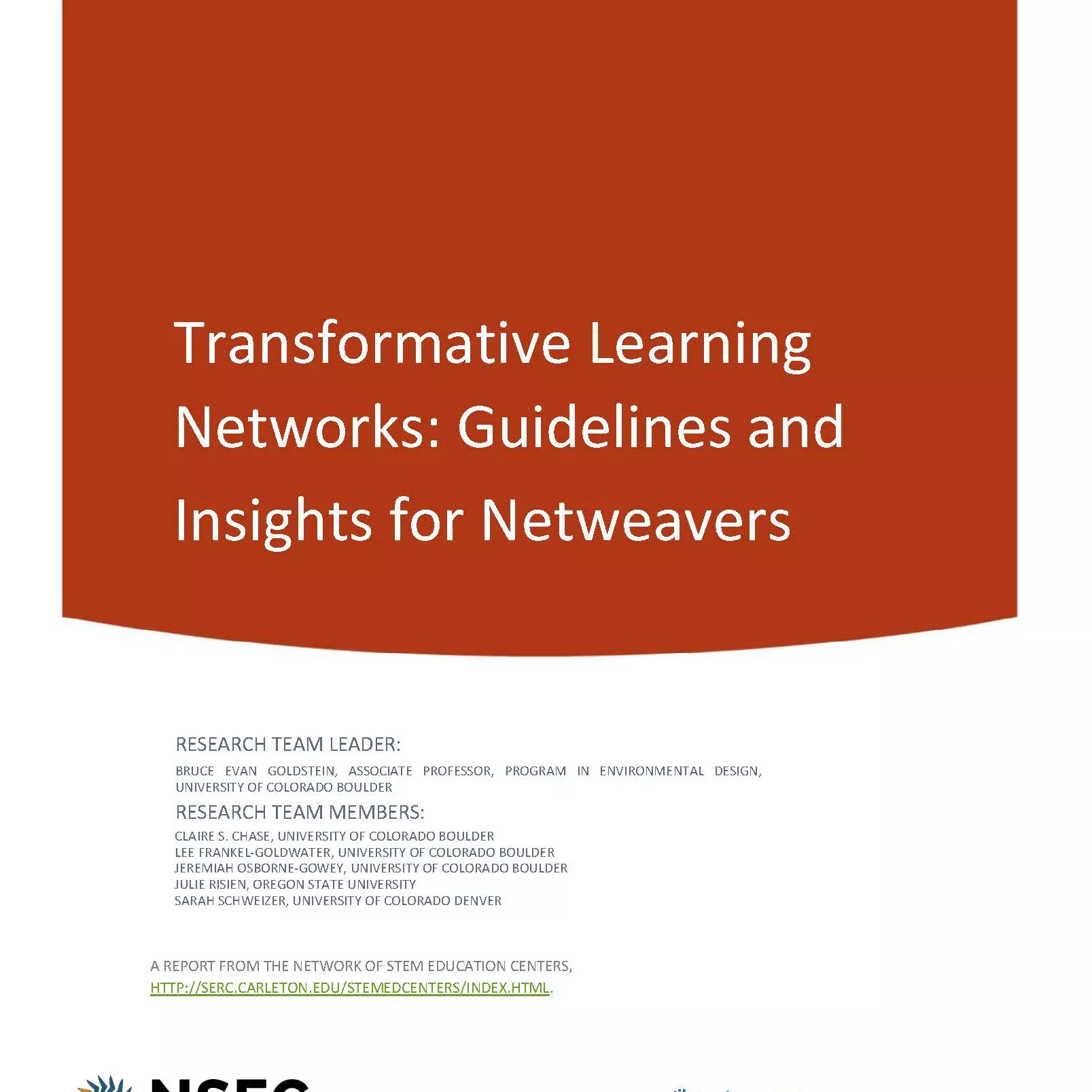 Transformative Learning Networks: Guidelines and Insights for Netweavers