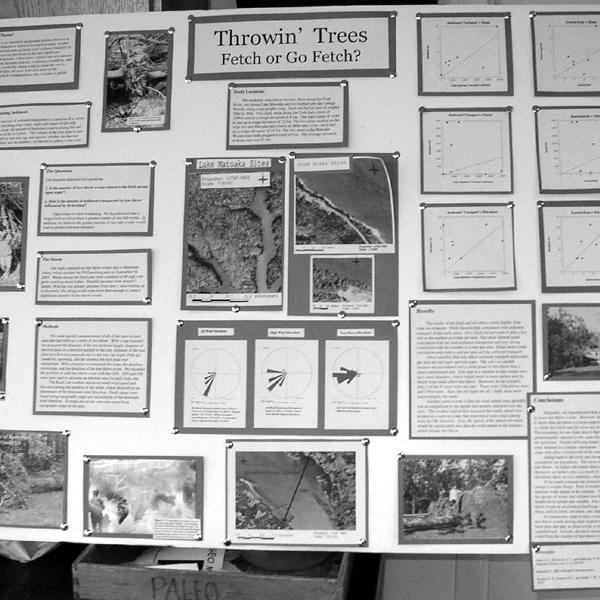 Examples of student posters