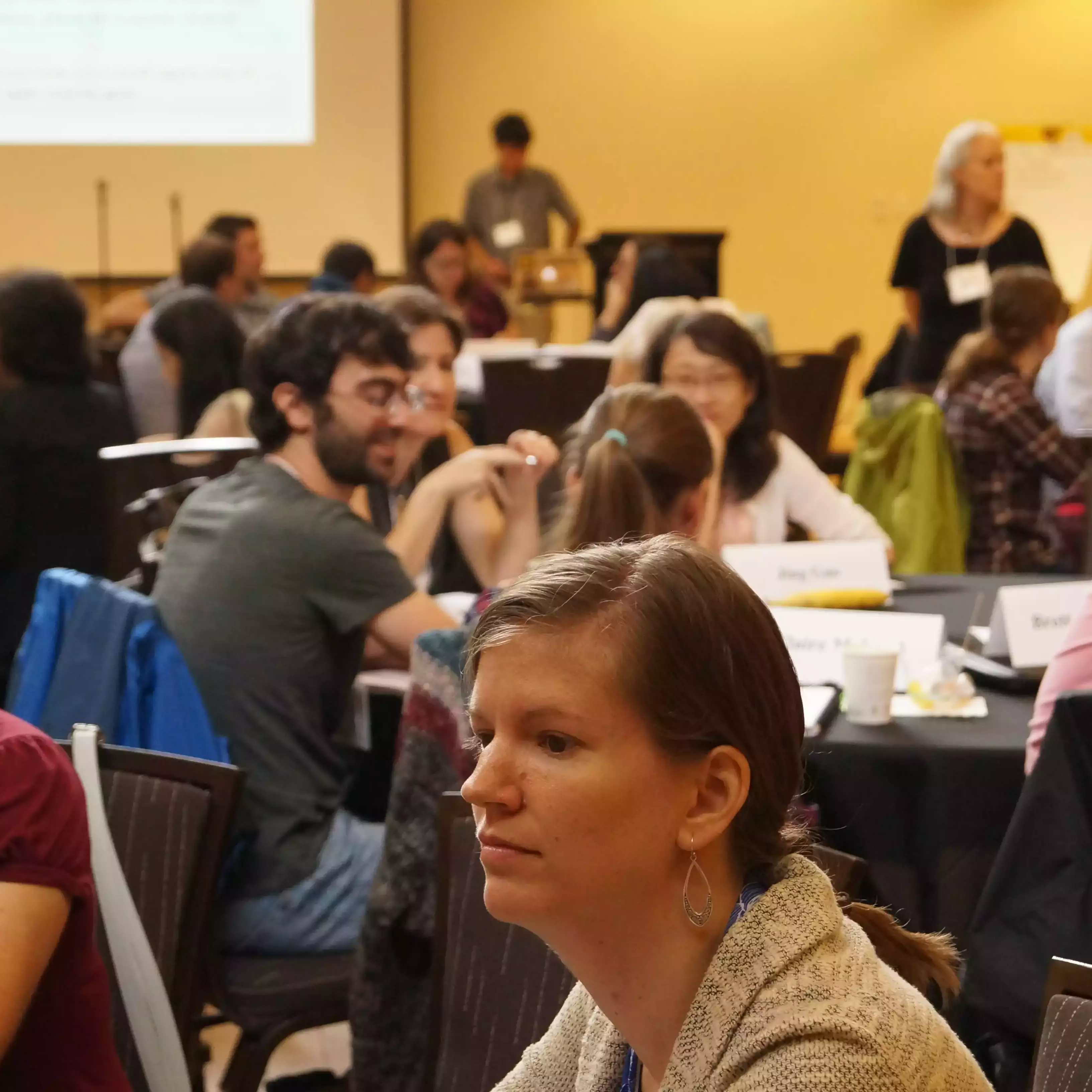 Workshop for Early Career Geoscience Faculty