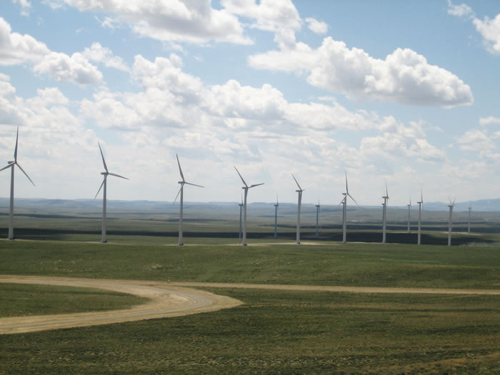 Field Trip Photo Gallery