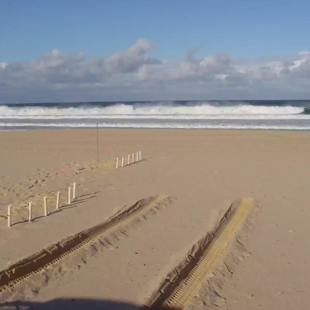 Effects of 4-Wheel Drive Vehicles on Beach Sediment Transport