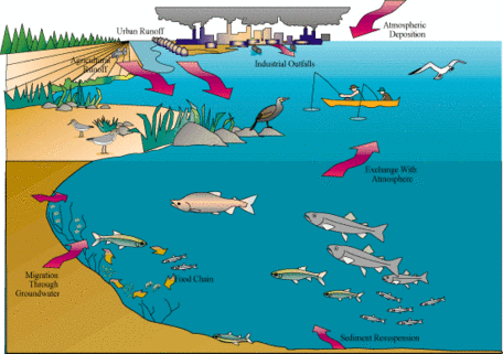 Pesticides And Herbicides In Water