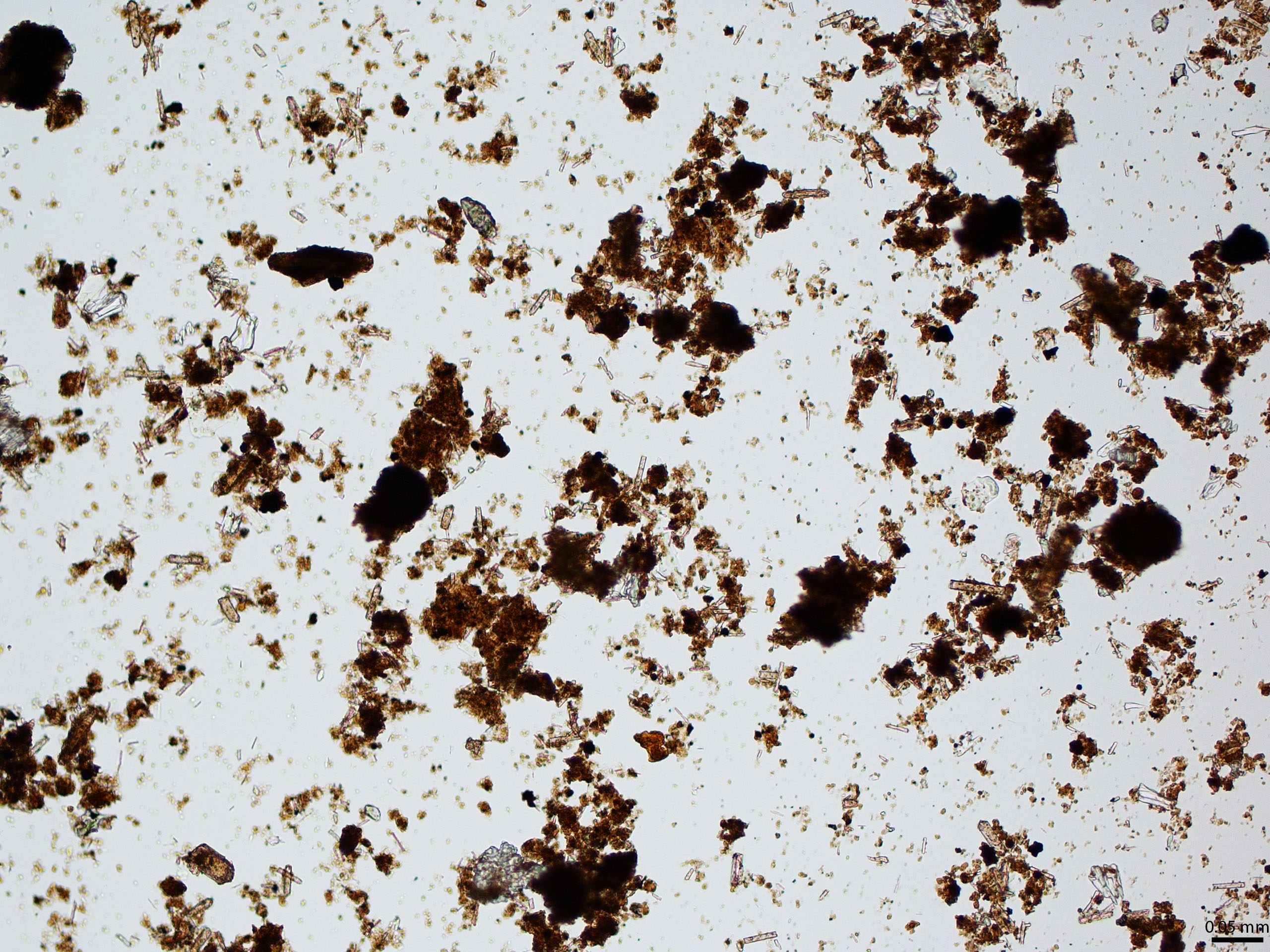 Learning About Marine Sediments Using Real Data