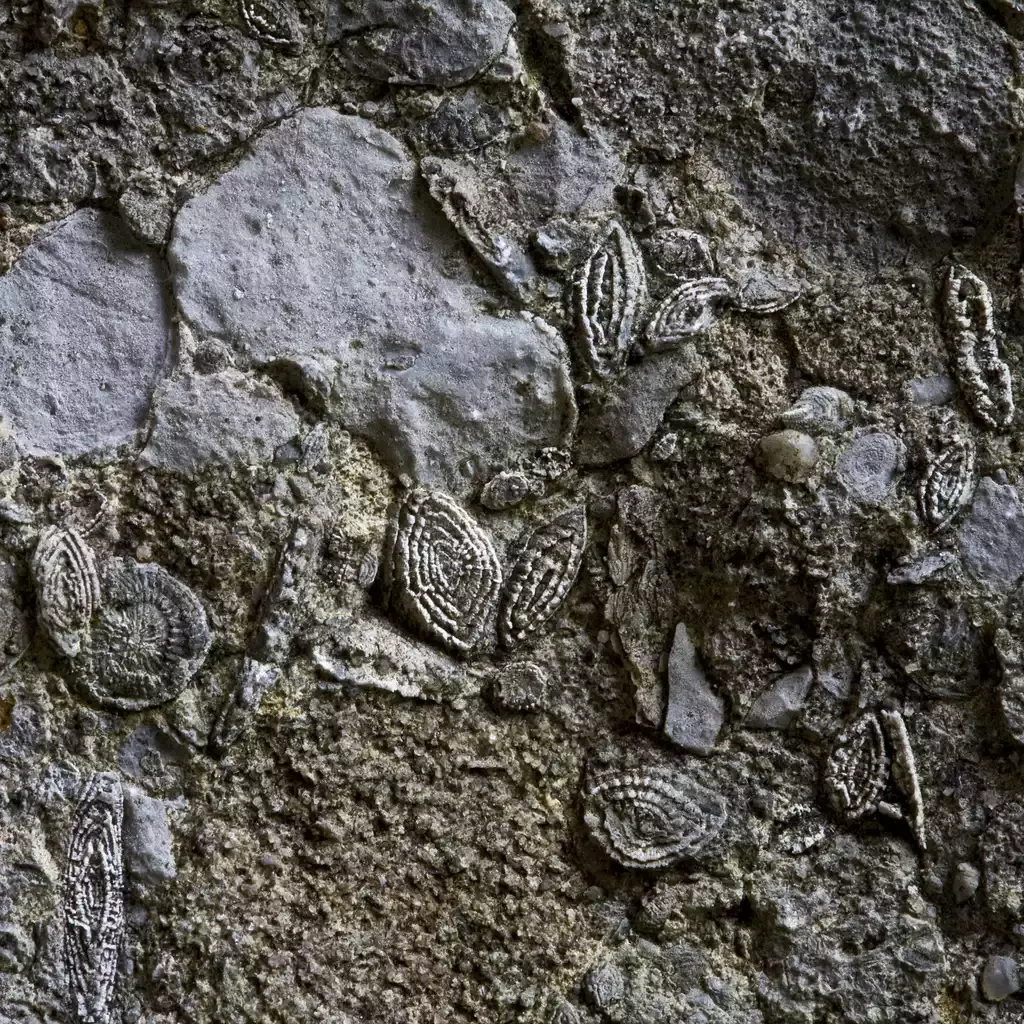 Teaching Stable Isotope Geochemistry in the Earth Sciences