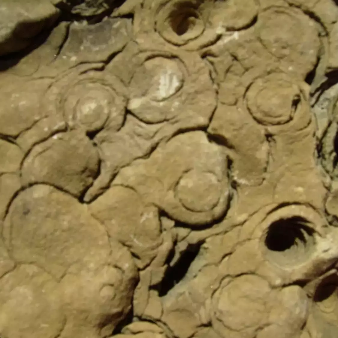 Cone in Cone Structures