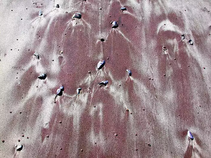 Flute Casts Sedimentary Rocks