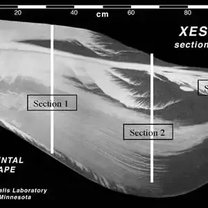 Why Teach with Physical Models?