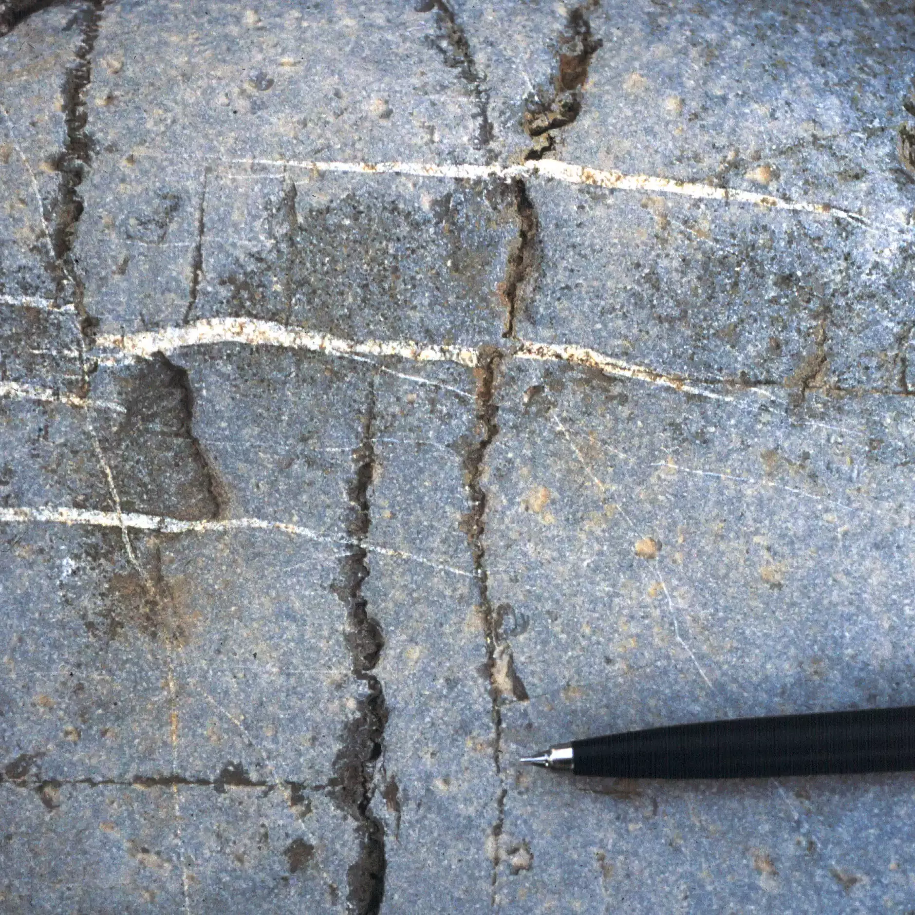 Photo observation & interpretation