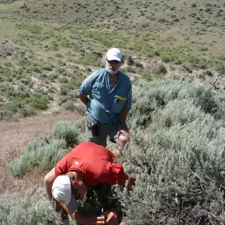 REU Program Assessment