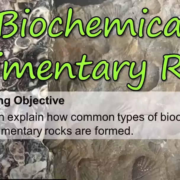 Biochemical Sedimentary Rocks