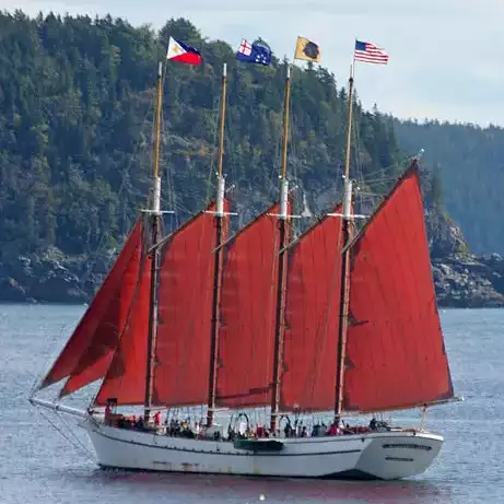 SAIL - Seminars in Advanced Interdisciplinary Learning