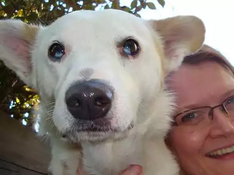 Picture of Michelle Withers