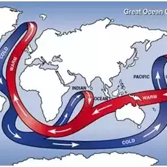 Lab Exercise: Ocean Circulation Simulation: So Far, So Great