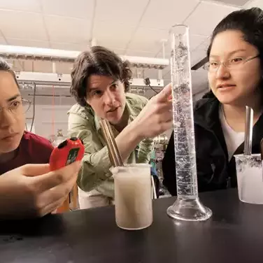 Undergraduate Research