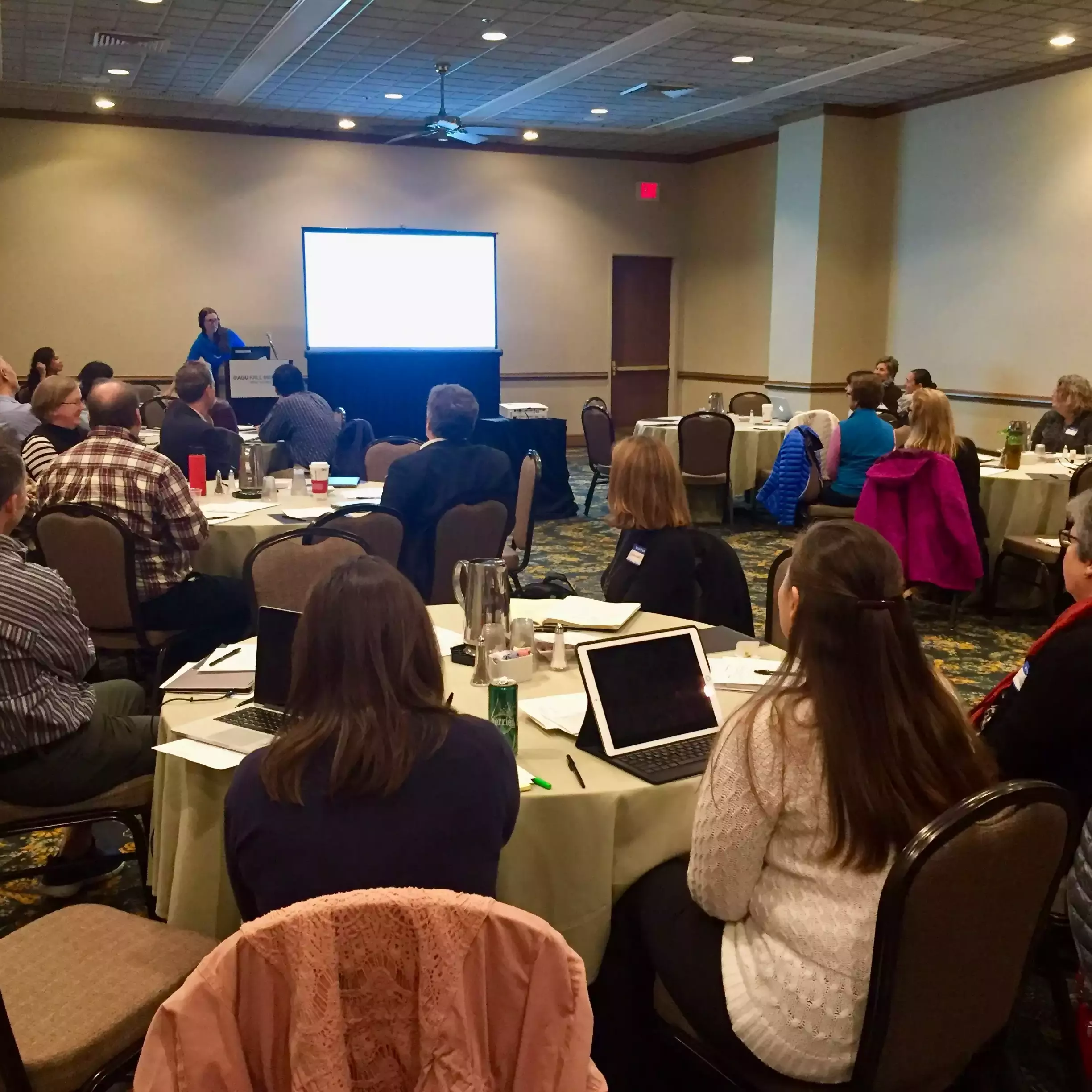 2017 Workshop for Heads and Chairs of Earth and Space Sciences Departments