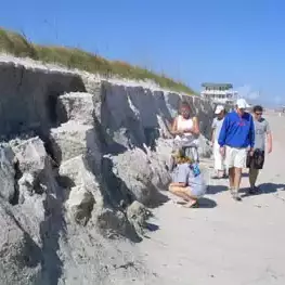 Department of Geological Sciences, University of Florida