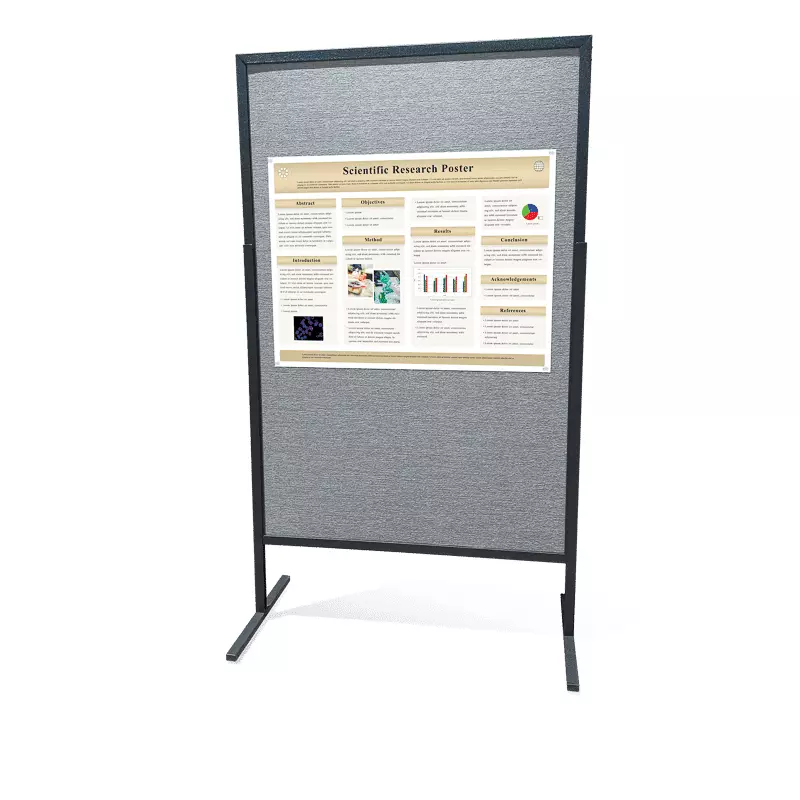 Presenter Guidelines