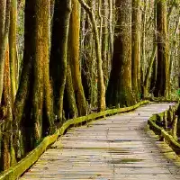 Submit a Design for the 2026 EER T-shirt