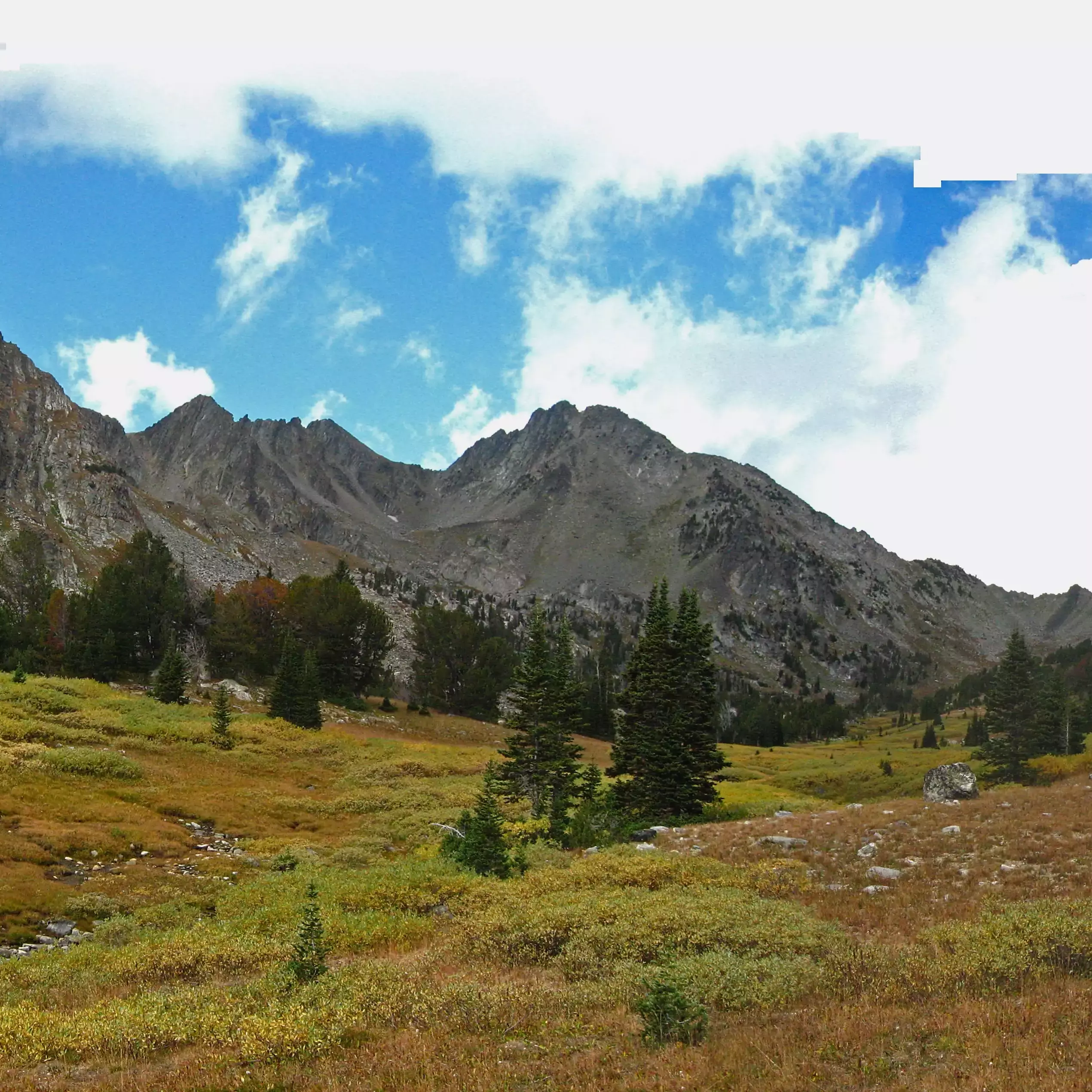 The Trail Guide Project