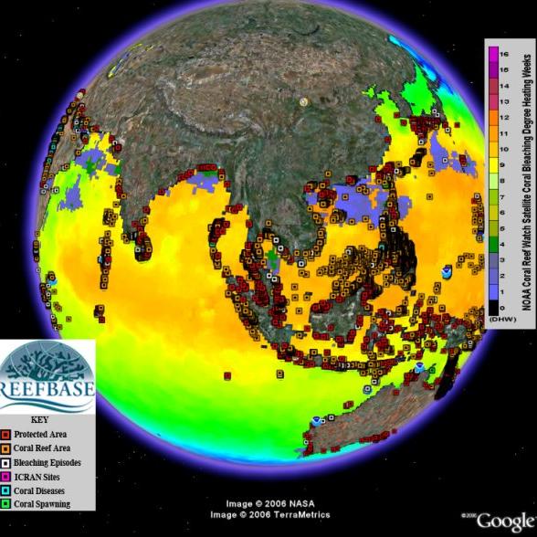 Predicting the Extent of Coral Reefs Over the Next 5 Decades