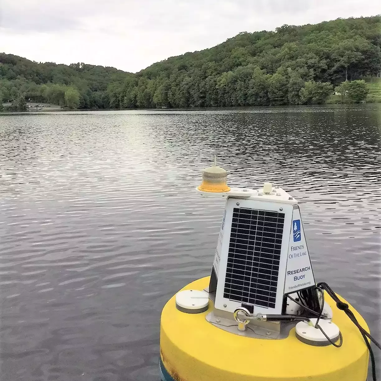 Webinar: How to Adapt EDDIE Modules to Meet Students' Needs