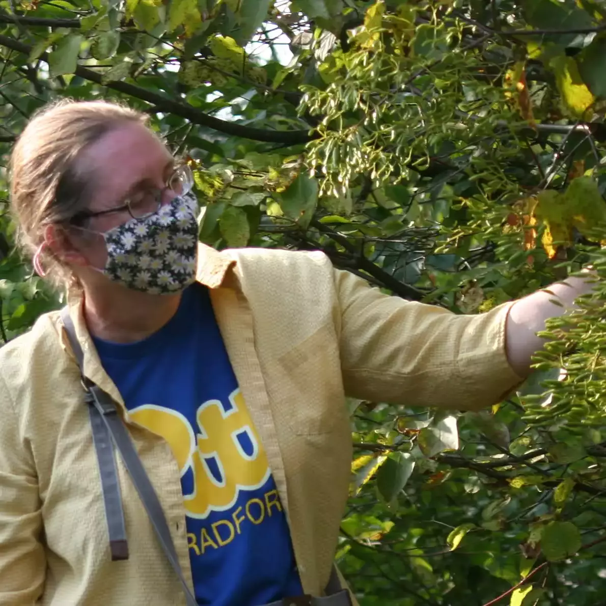 Using Project EDDIE modules in Introduction to Biodiversity