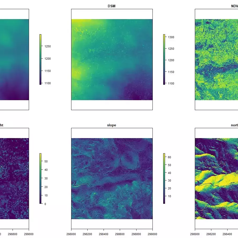 Remote Sensing of Plants and Topography in R