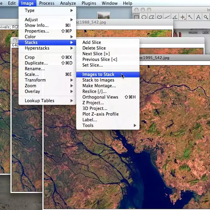 Part 2—Prepare and Examine Images