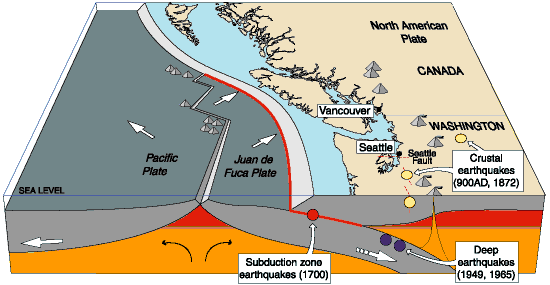 Direction Of North American Plate