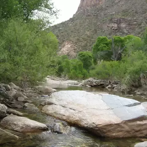 Exploring Monsoon Precipitation and Streamflow in a Semi-Arid Watershed