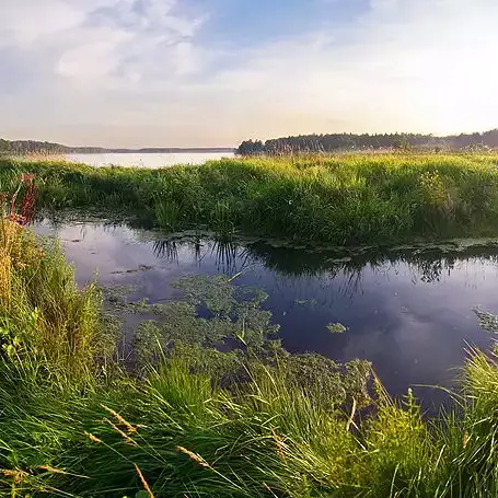 Protecting Wetlands from Exurban Development
