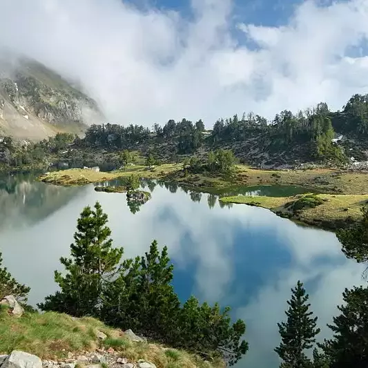 EDDIE Workshop Program