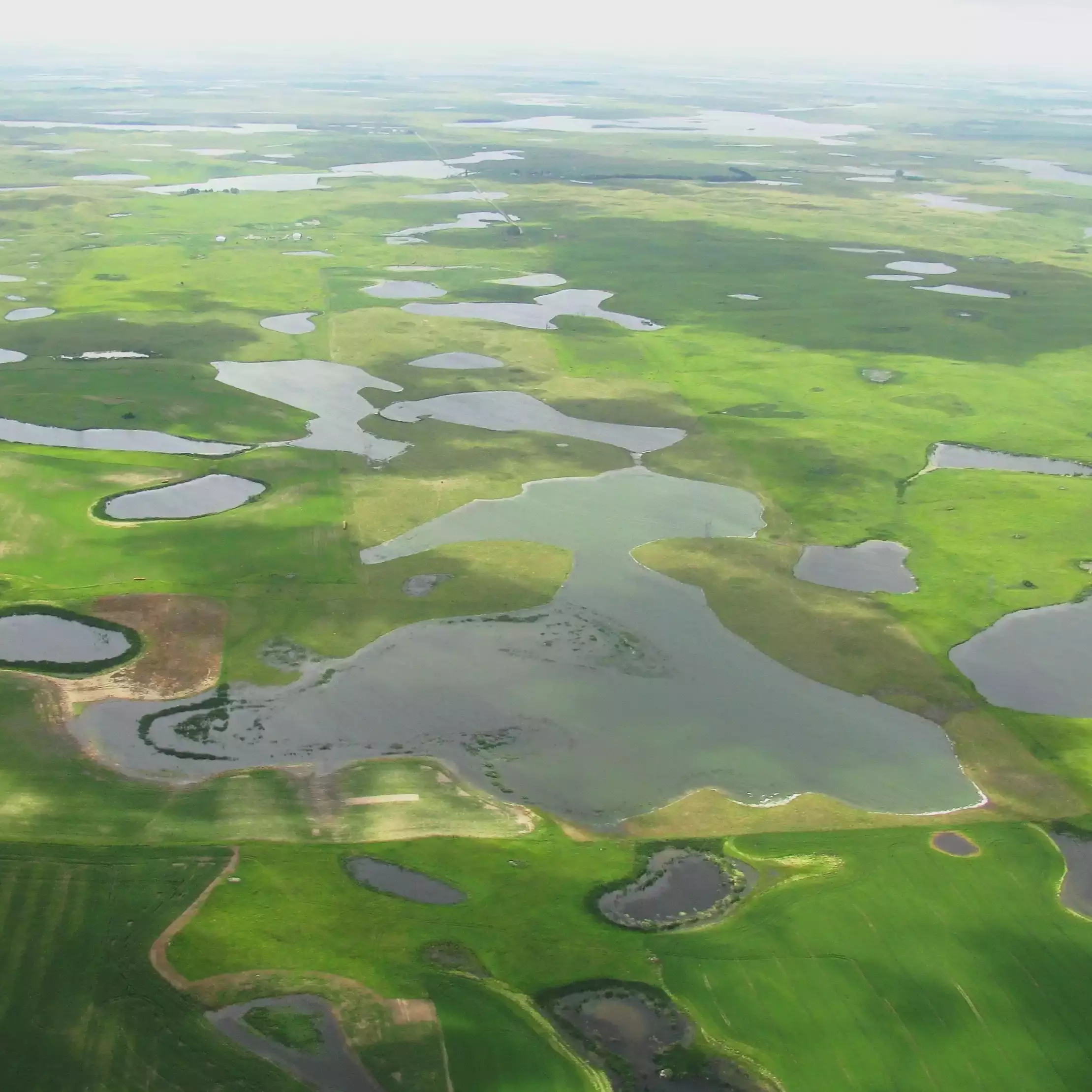 Nutrient Loading Module