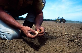 1A: Earth System Science