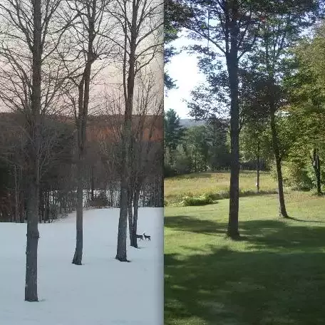 Lab 3: Normal Climate Patterns