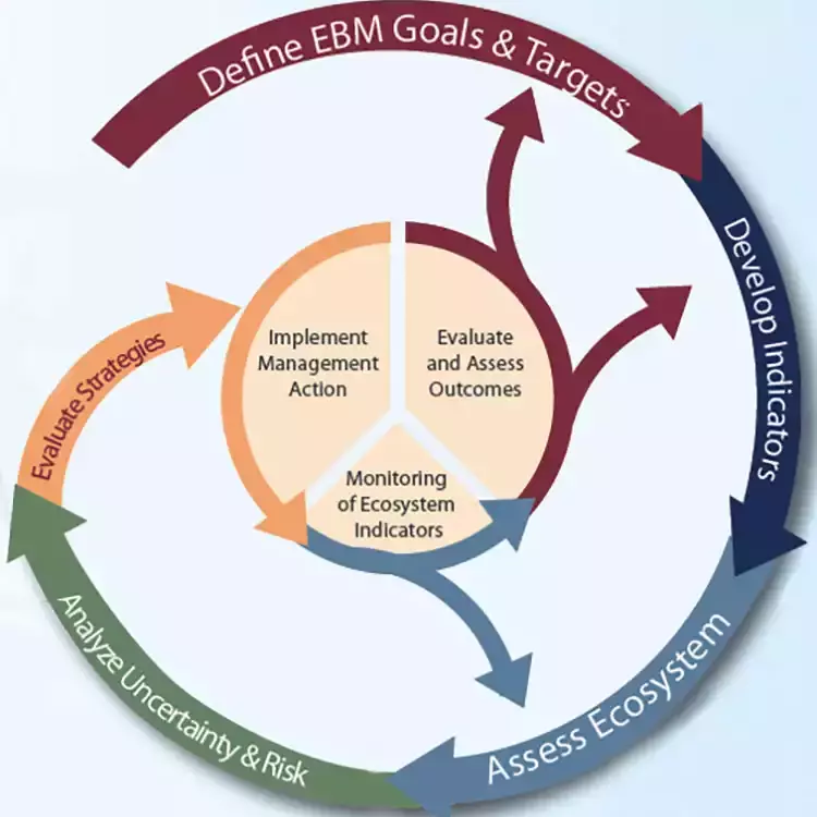 Oh What a Tangled Web: Ecosystem-Based Management
