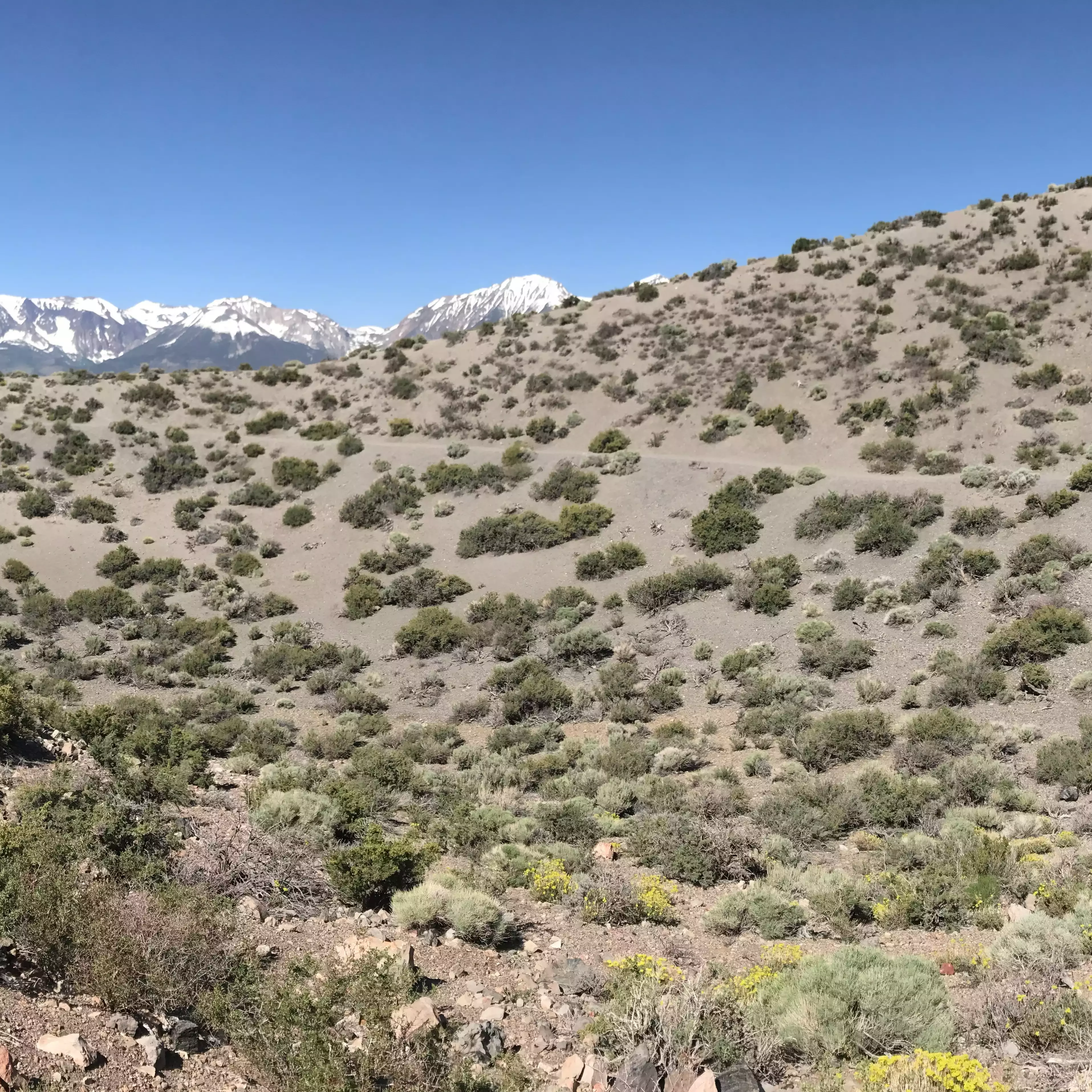 Panum Crater Geomorphic Mapping
