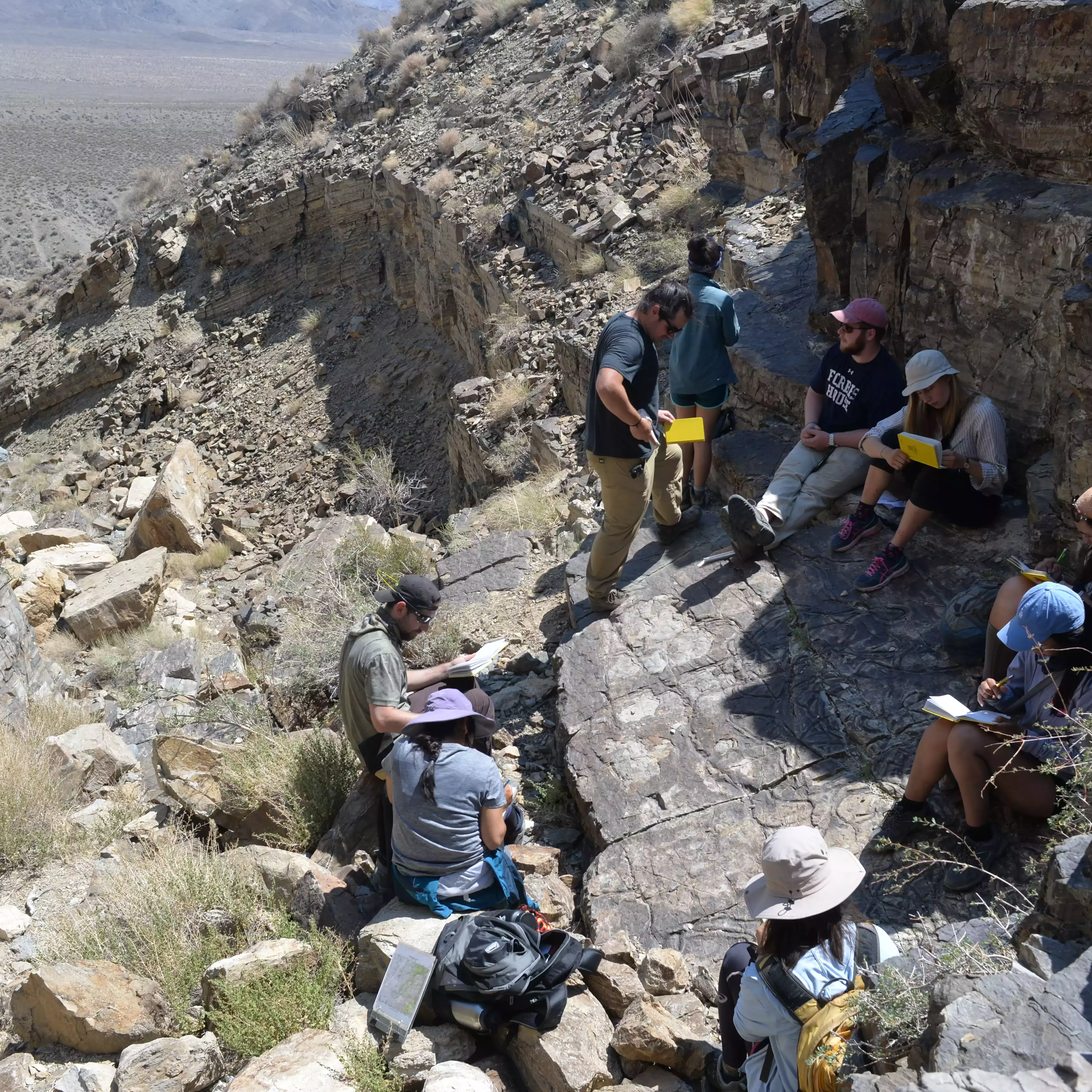 Poleta Bedrock Geologic Mapping