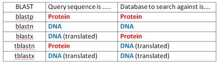 Performing a BLAST search