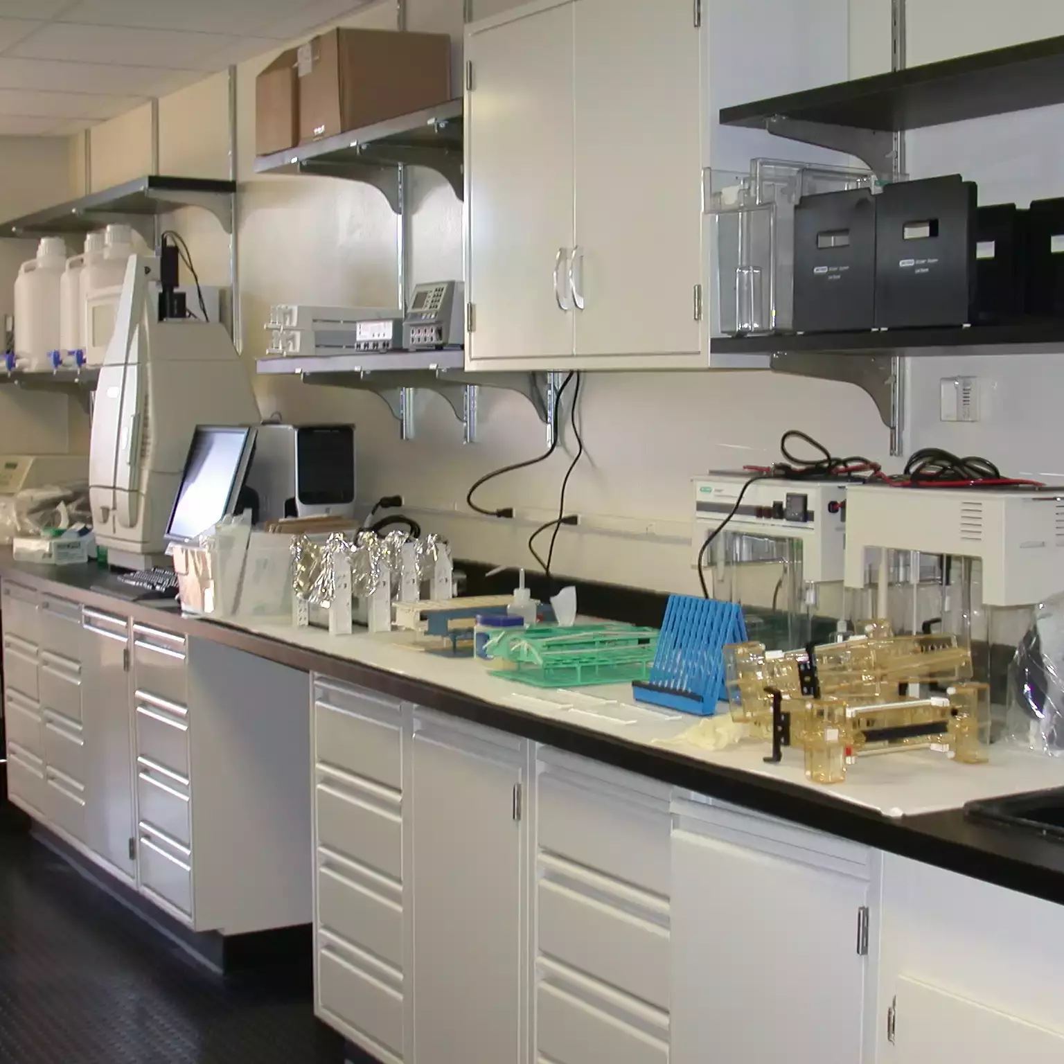 Teaching Big Science at Small Colleges: a Genomics Collaboration