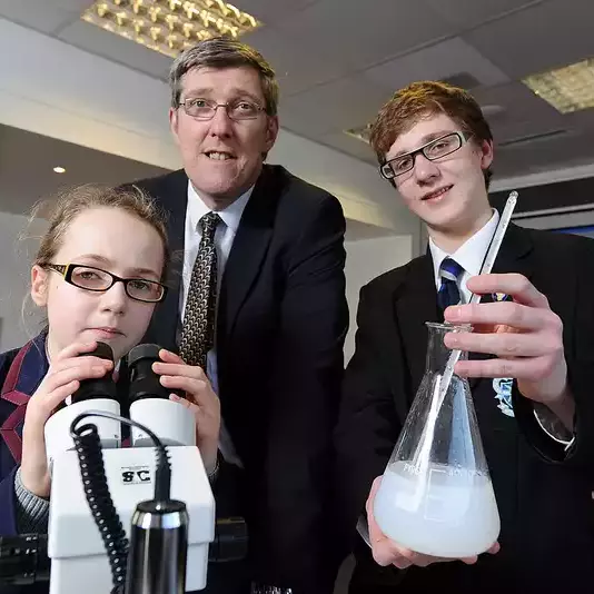 Effective Strategies for Interdisciplinary Teaching