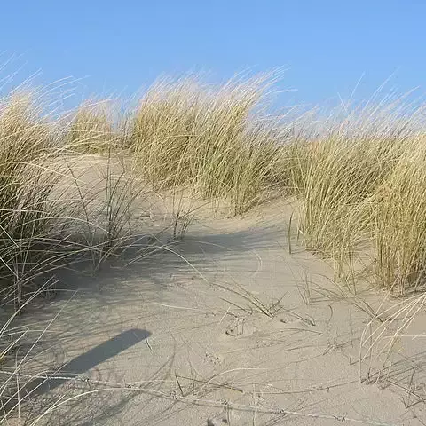 Dunes