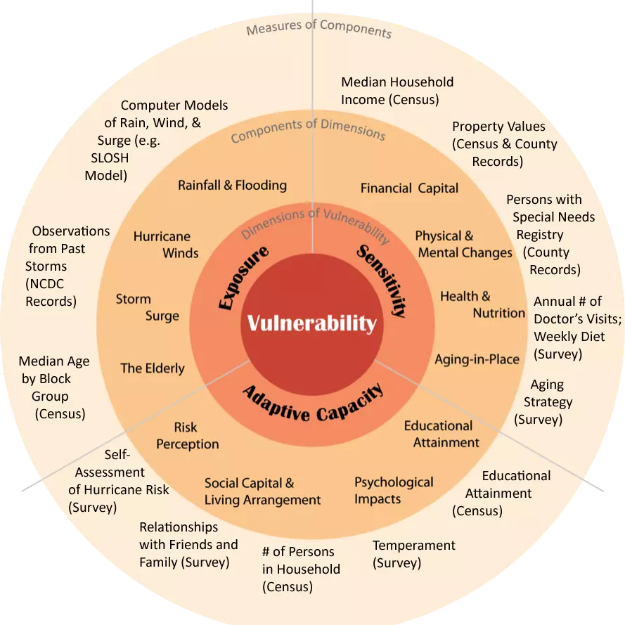 Examples of VSD explained