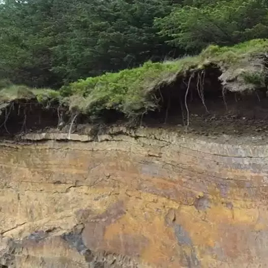 Critical Zone Science