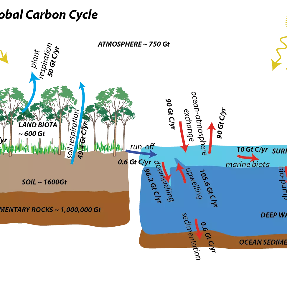 Unit 9: Carbon Cycle and Ocean Chemistry