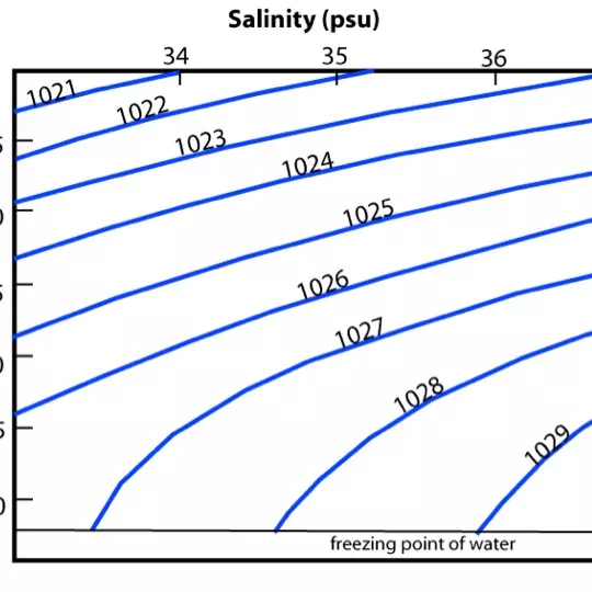 Unit 8 Reading: Modeling Thermohaline Circulation
