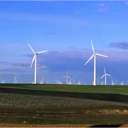 Renewable Energy and Environmental Sustainability